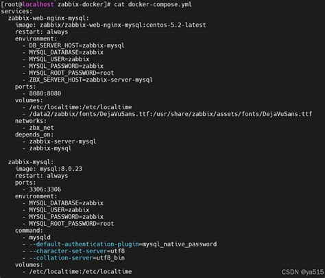 Zabbix Docker安装 Docker安装zabbix Csdn博客