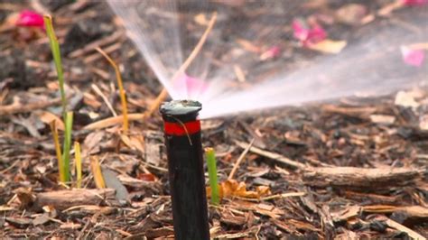 How To Winterize Grass Lawns For New England Winter