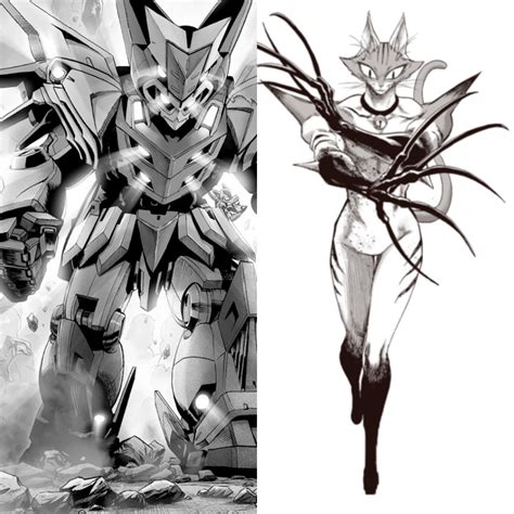 S Class Heros And Their Counters Ronepunchman