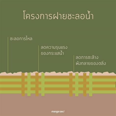 โครงการในพระราชดำริในหลวงรัชกาลที่ ๙ ที่หลายคนอาจยังไม่เคยรู้จัก