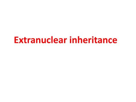 Extranuclear Inheritance Pptx