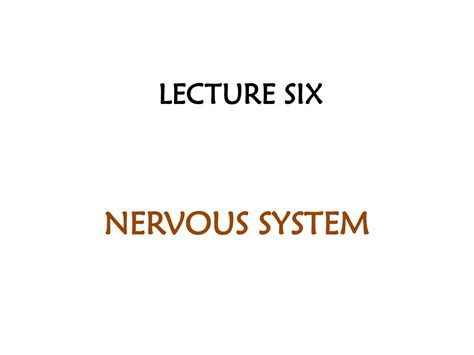 SOLUTION Lecture 6 Nervous System Studypool