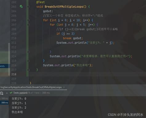 java使用带有标签的break语句跳出多重循环 带标号的break语句 csdn博客