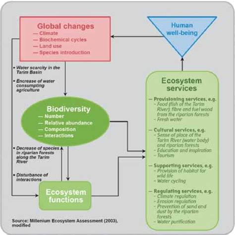 Ecosystem Functions And Ecosystem Services As Discussed In The Sumario Download Scientific