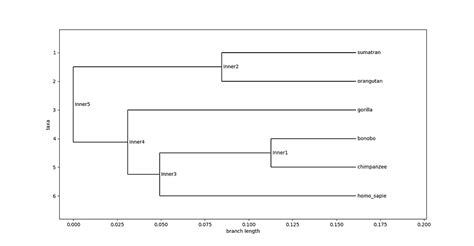 Phylogenetic Trees Implement In Python By Rishika Gupta Geek