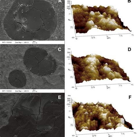 Scanning Electron Microscopy Sem And Atomic Force Microscopy Afm