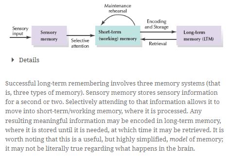Memory CH Flashcards Quizlet