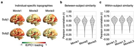 Individual Differences In Topf Derived Individual Specific Topographies Download Scientific