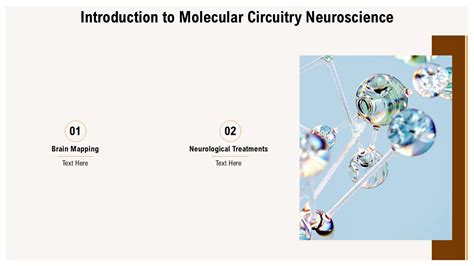 Molecular Circuitry Neuroscience Ppt Presentation Acp Ppt Template