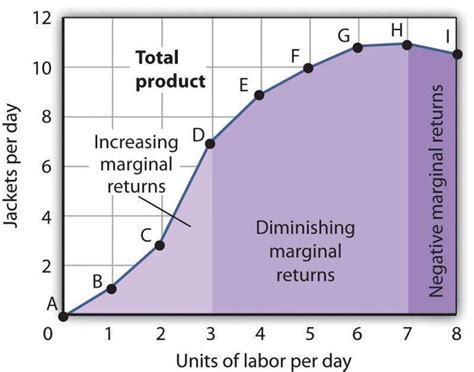 Law Of Diminishing Return Pengertian Dan Fase Fase Di Dalamnya