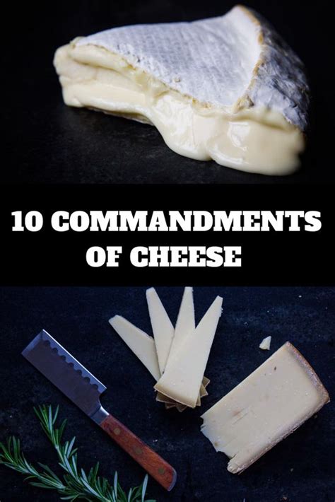 Cheese Sex Death Cheesesexdeath Profile Pinterest