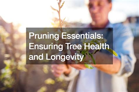 Pruning Essentials Ensuring Tree Health And Longevity Wildwood Gardens