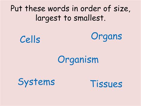 Ppt Multicellular Organisms Powerpoint Presentation Free Download Id 2661953