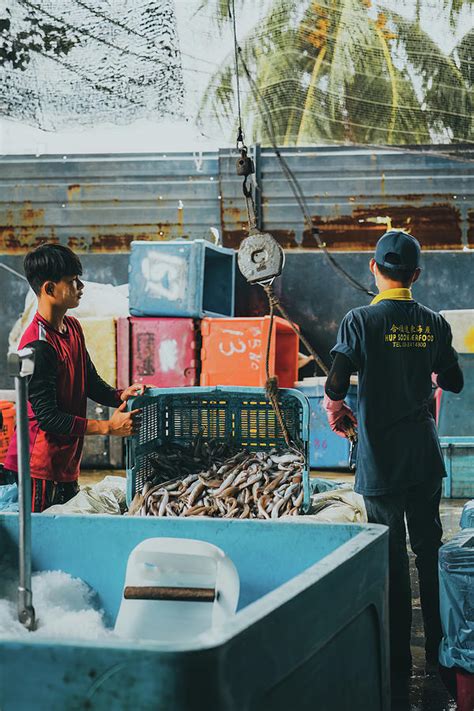 Fishermen Sorting Out The Fish Catch In Containers At The Dock Photograph By Ellinnur Bakarudin