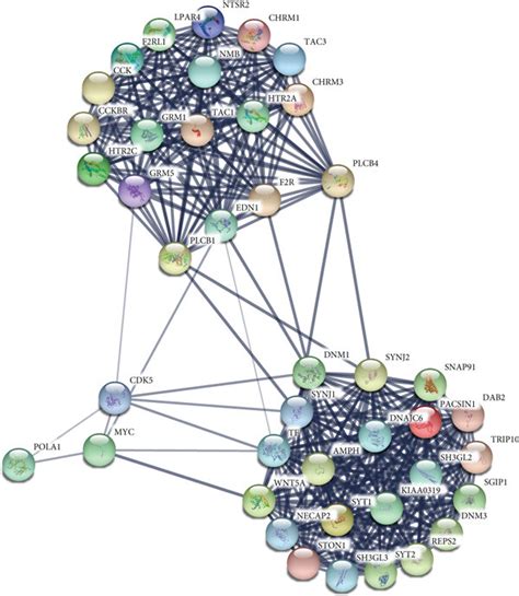 Top 4 Modules From The Protein Protein Interaction Network A Module Download Scientific