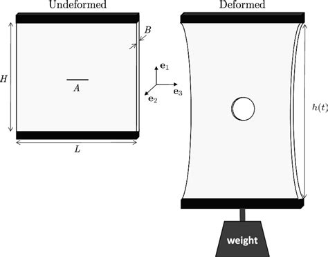 Schematic Of A Typical Delayed Fracture Test For A Viscoelastic