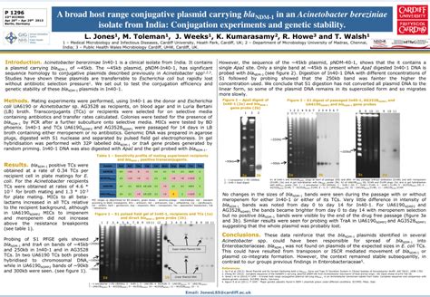 Pdf A Broad Host Range Conjugative Plasmid Carrying Blandm 1 In An Acinetobacter Bereziniae