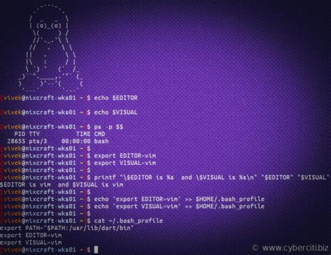 Visual Vs Editor Variable What Is The Difference Linux Bash