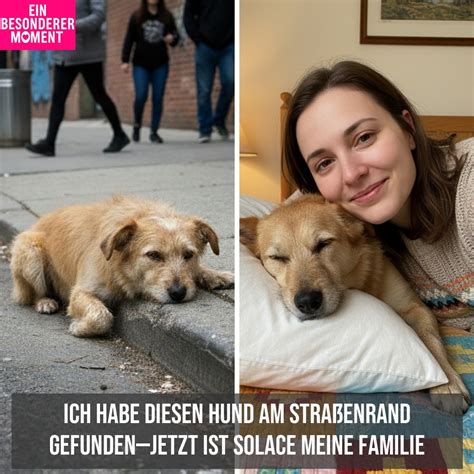 Fabiosa Ich Fand Einen Streunenden Hund Der Mit Dem Kopf Auf Dem