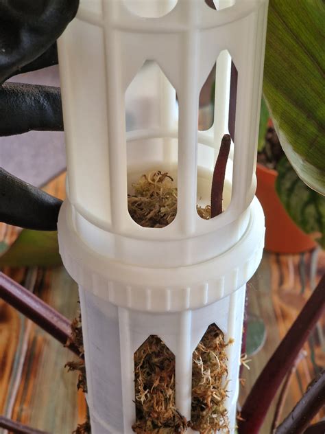 Xxl Modular Moss Pole Tower Kit La Turra Moss Pole Tower Design Mythos3design