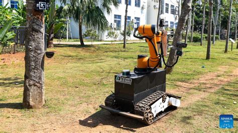 Ai Powered Rubber Tapping Robots Designed To Alleviate Labor Shortage Gdtoday