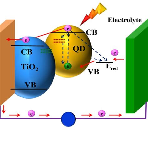 schematic representation of carrier dynamics generation separation