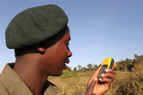 Monitoring Honeyguide