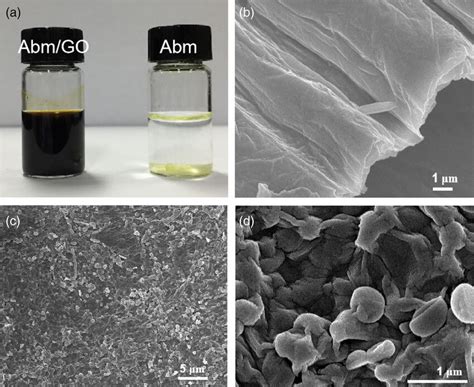 A Photographs Of Abm Go Nanoformulation 10 Mg Ml −1 And Abm In