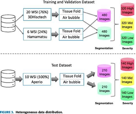 Figure 3 From Tissue Artifact Segmentation And Severity Assessment For Automatic Analysis Using