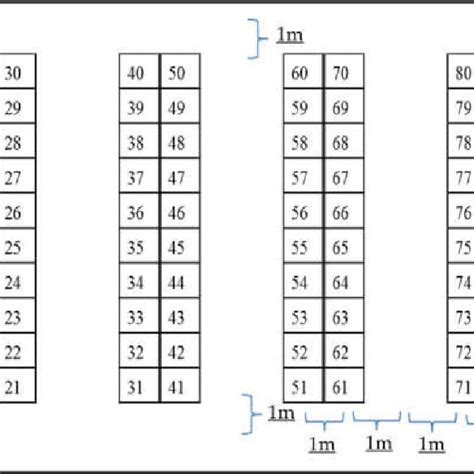 Conventional Warehouse Layout Download Scientific Diagram
