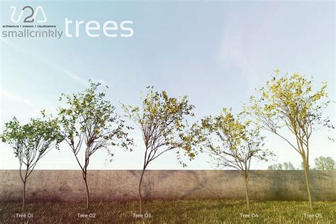 Tree Arb Free 3d Model Cgtrader