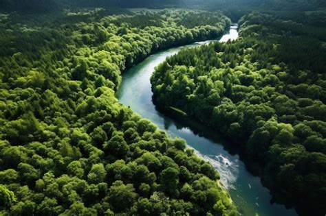 Premium AI Image Aerial View Of Landscape Ai Generative