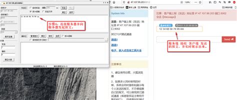 udp、tcp在线测试工具