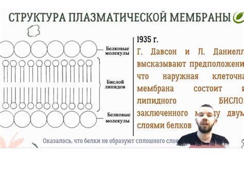 Биологические мембраны - презентация онлайн