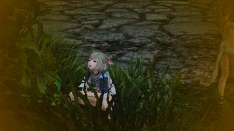 Rice Lord Sake 22 Fortunately Zhloe Knew Exactly Where The 🔞