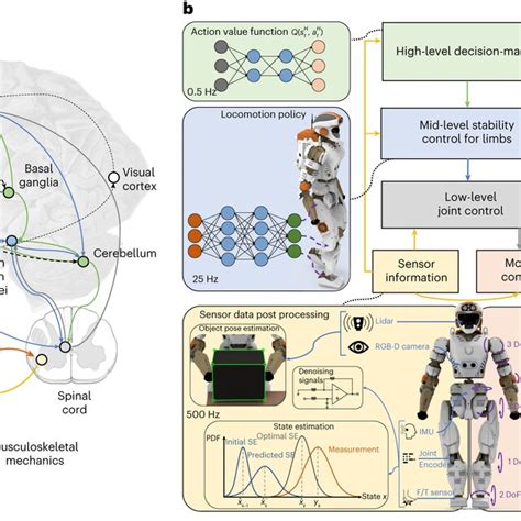Algorithmic Realizations Of Hierarchical Control As Inference A