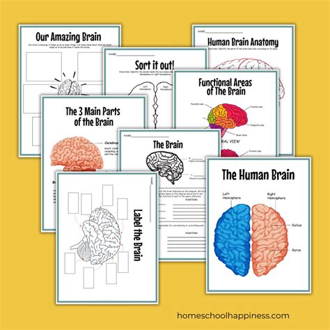 Free Printable 50 States Flashcards For Homeschool Fun