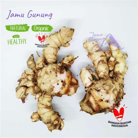Promo Temu Ireng Segar 1kg Obat Cacing Organik Dari Gunung Kidul Diskon 13 Di Seller Jamu