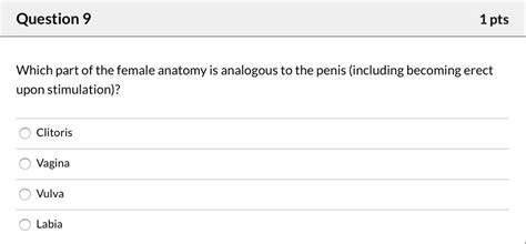 solved question 9 1 pts which part of the female anatomy is analogous