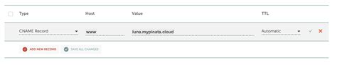 how to add a custom domain to an ipfs dedicated gateway