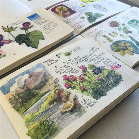 Carnets De Croquis Avec Des Fleurs Inspiration Artistique Travel Art Journal Watercolor
