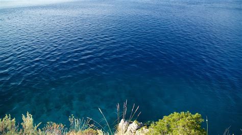 Visit Costa Viola Best Of Costa Viola Tourism Expedia Travel Guide