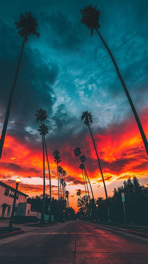 Sunset Vertical 4k Wallpapers Wallpaper Cave