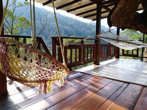 12 Treehouse Malaysia Airbnbs To Book For A Unique Staycation