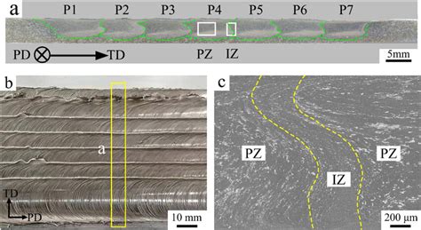 a cross section macrostructure of mg gd y zn zr alloy plate following