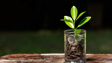 Roi On International Assignments Are We Asking The Wrong Questions Personnel Relocations