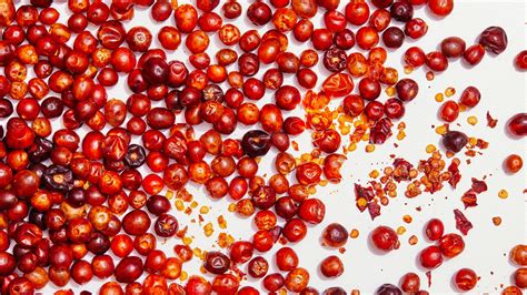 What Are Chiltepín Chiles And How Do I Cook With Them Bon Appétit