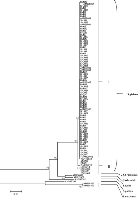 Phylogenetic Tree Generated By Neighbor Joining Analysis Using Partial Download Scientific