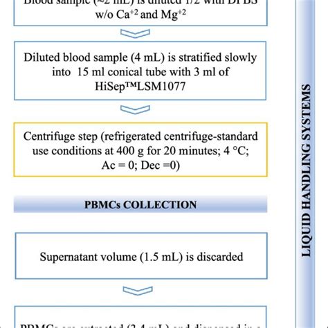 Automatic Workflow Diagram Workflow Showing The Automatic Procedures Download Scientific